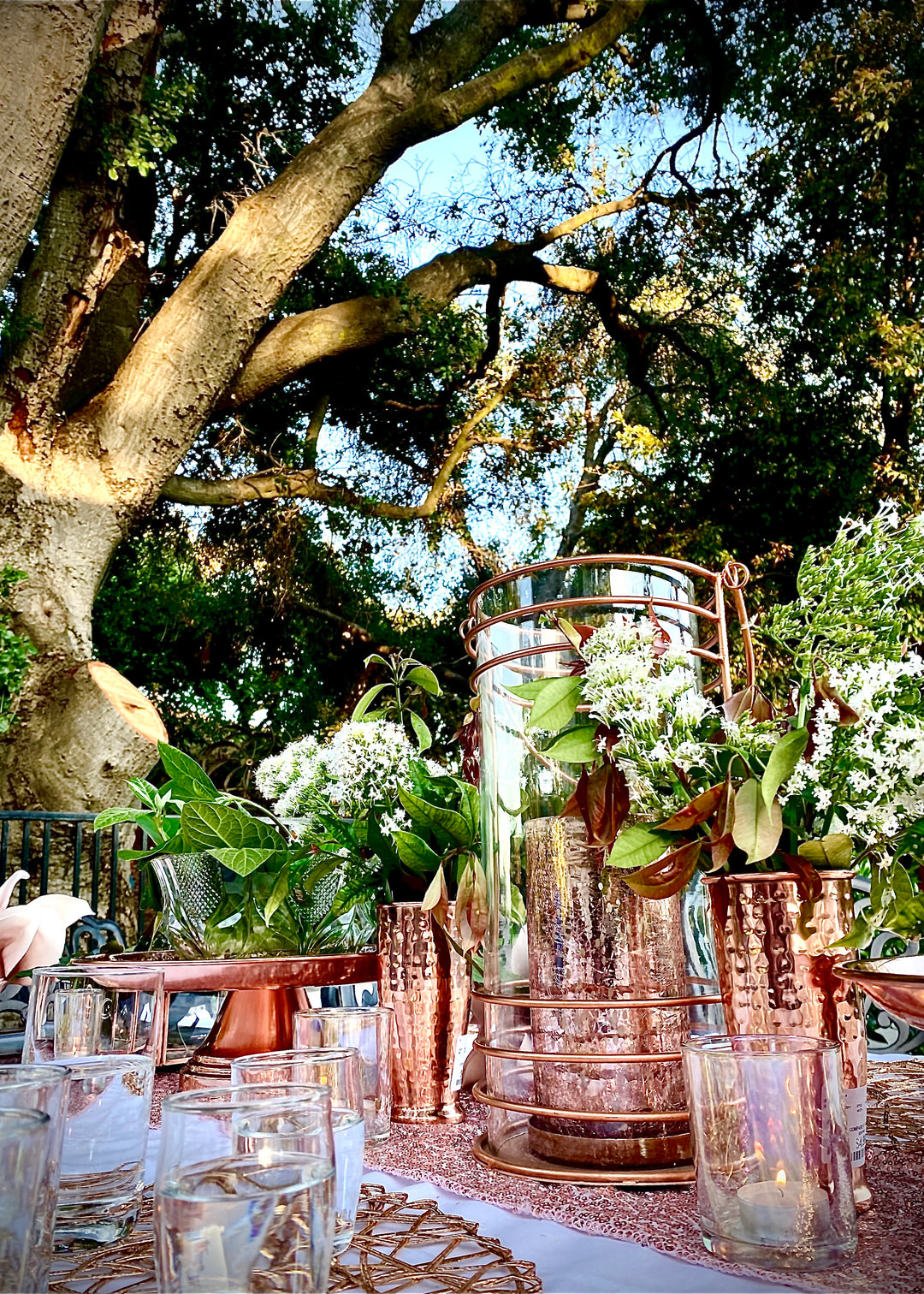 Tasting Events – California Coffee Collective